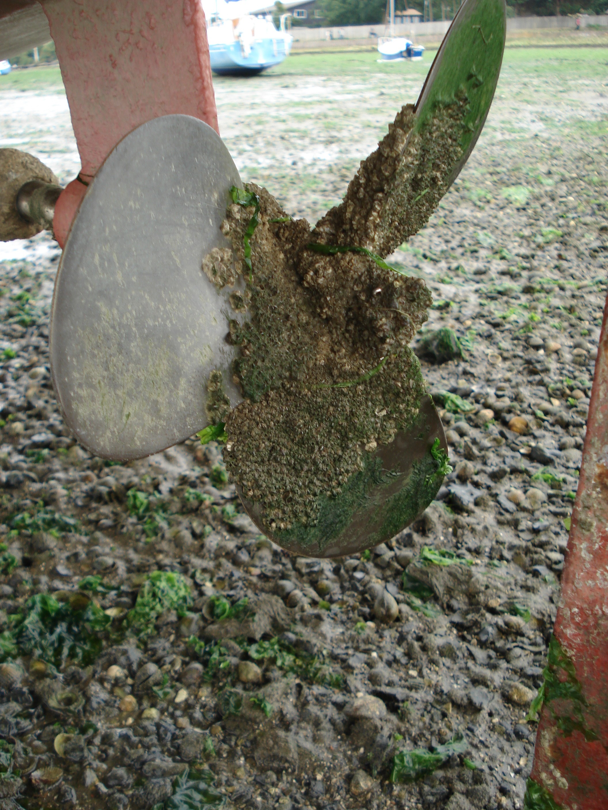 Prop fouling | Lottie's Log